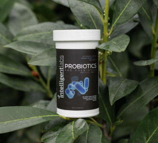 Adult Probiotics with Prebiotics - Intelligent Labs